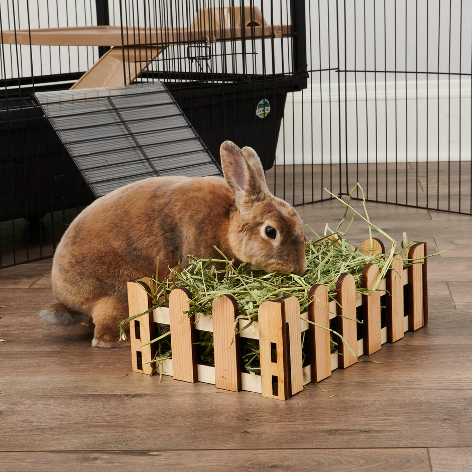 BunnieBox.com - Monthly Rabbit Subscription Box USA