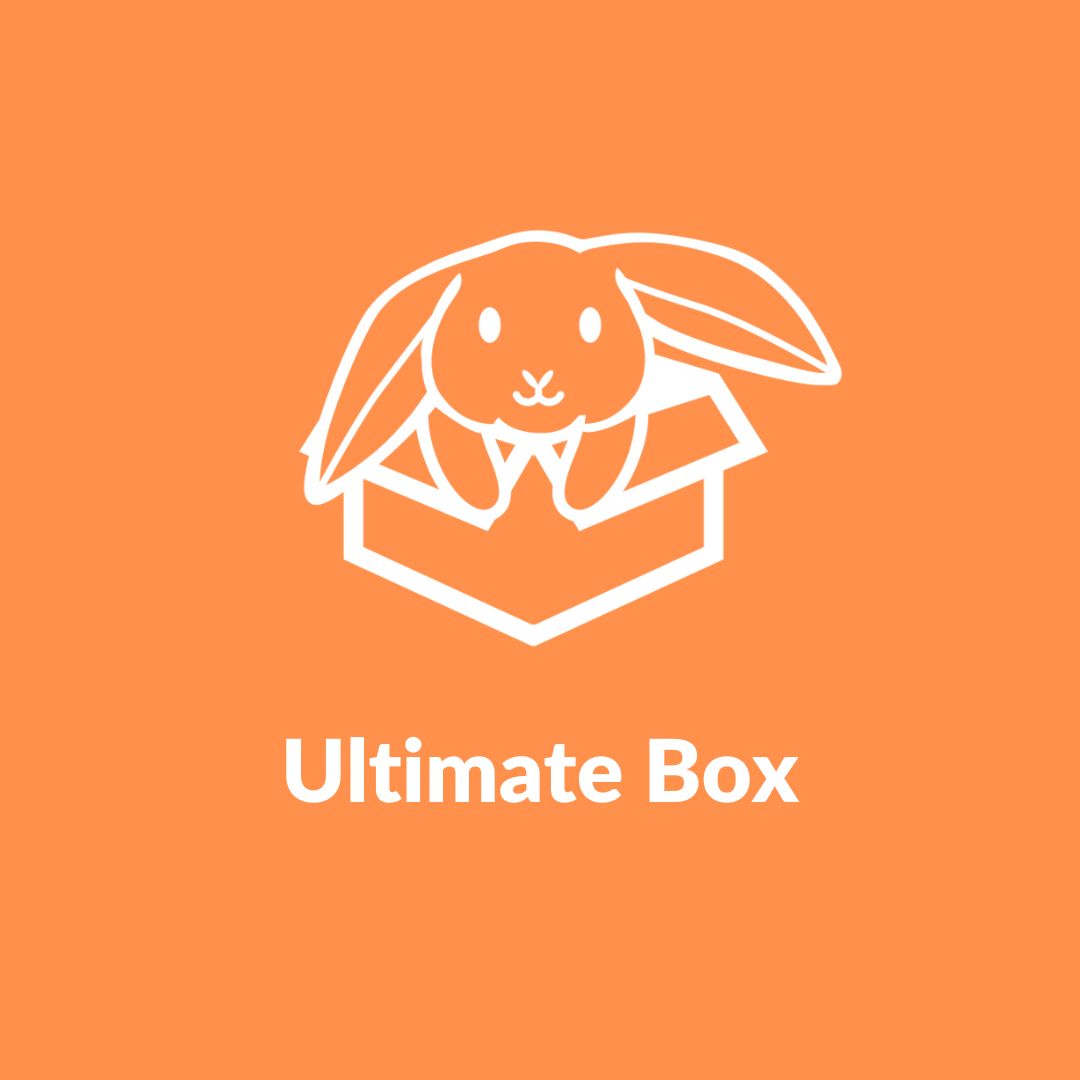 The Ultimate Box: 3+ Rabbits - Monthly Subscription Box | BunnieBox