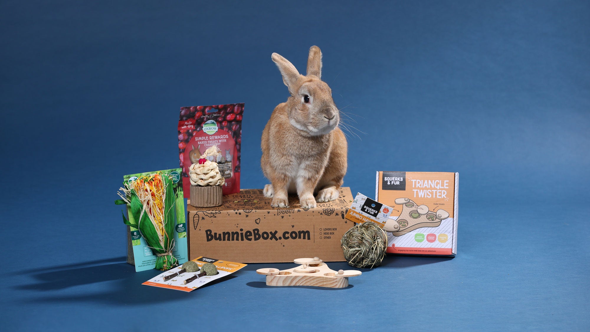 BunnieBox.com - Monthly Rabbit Subscription Box USA