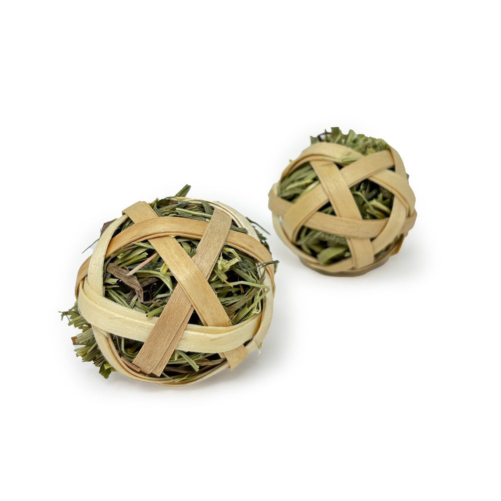 Hay Stuffed Balls 2 Pack - Squeaks & Fur