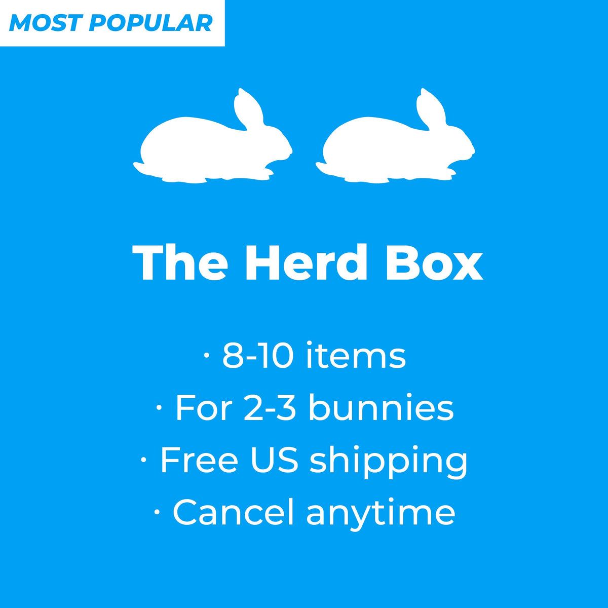 The Herd Box: 2+ Rabbits - Monthly Subscription Box | BunnieBox