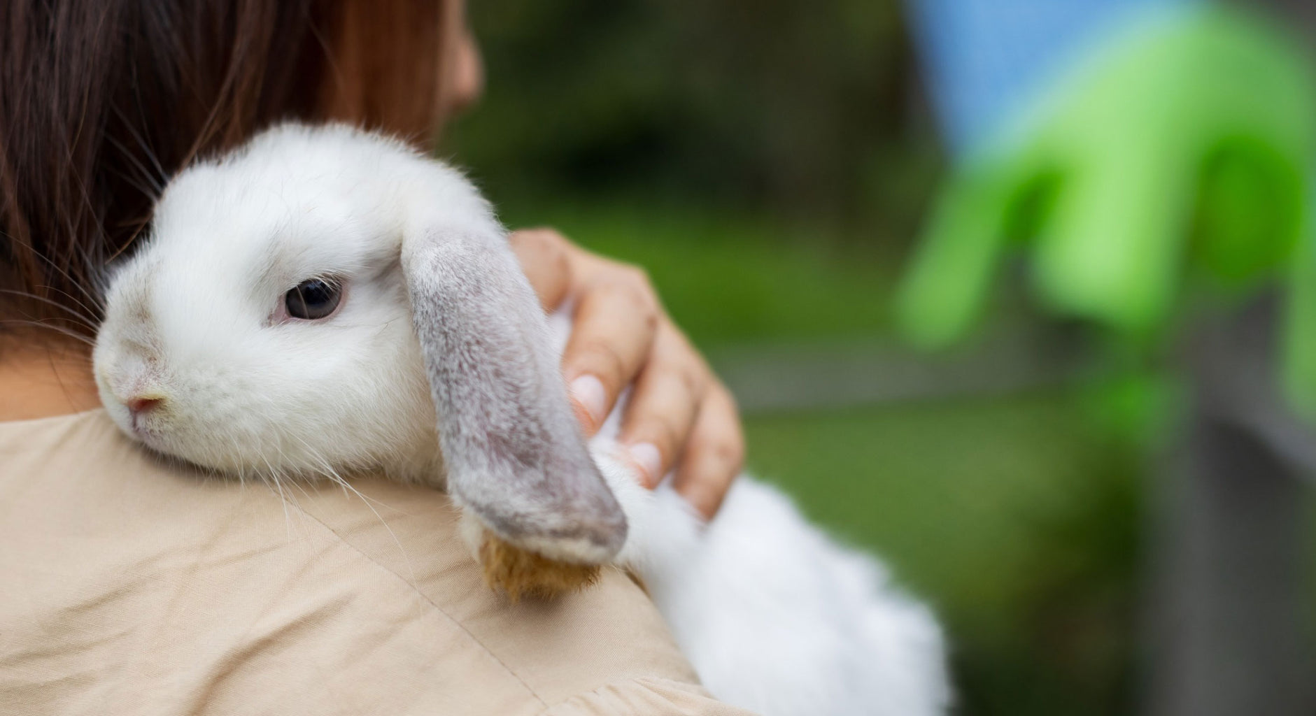 BunnieBox.com - Monthly Rabbit Subscription Box USA