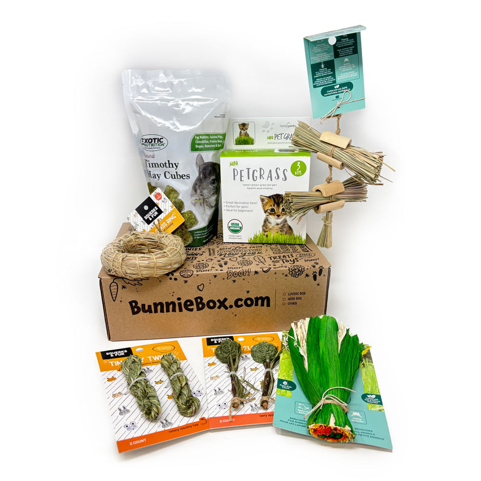 BunnieBox.com - Monthly Rabbit Subscription Box USA