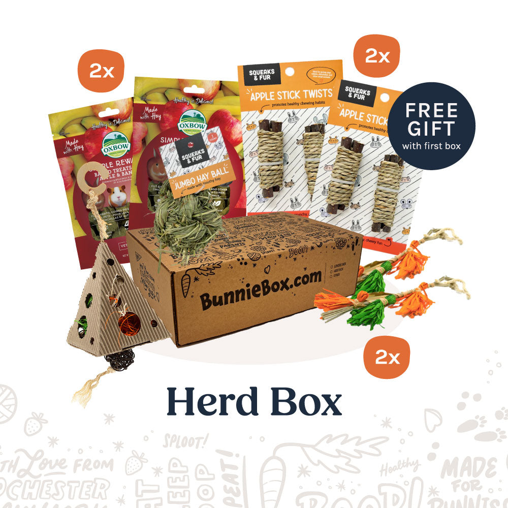 The Herd Box: 2+ Rabbits - Monthly Subscription Box | BunnieBox