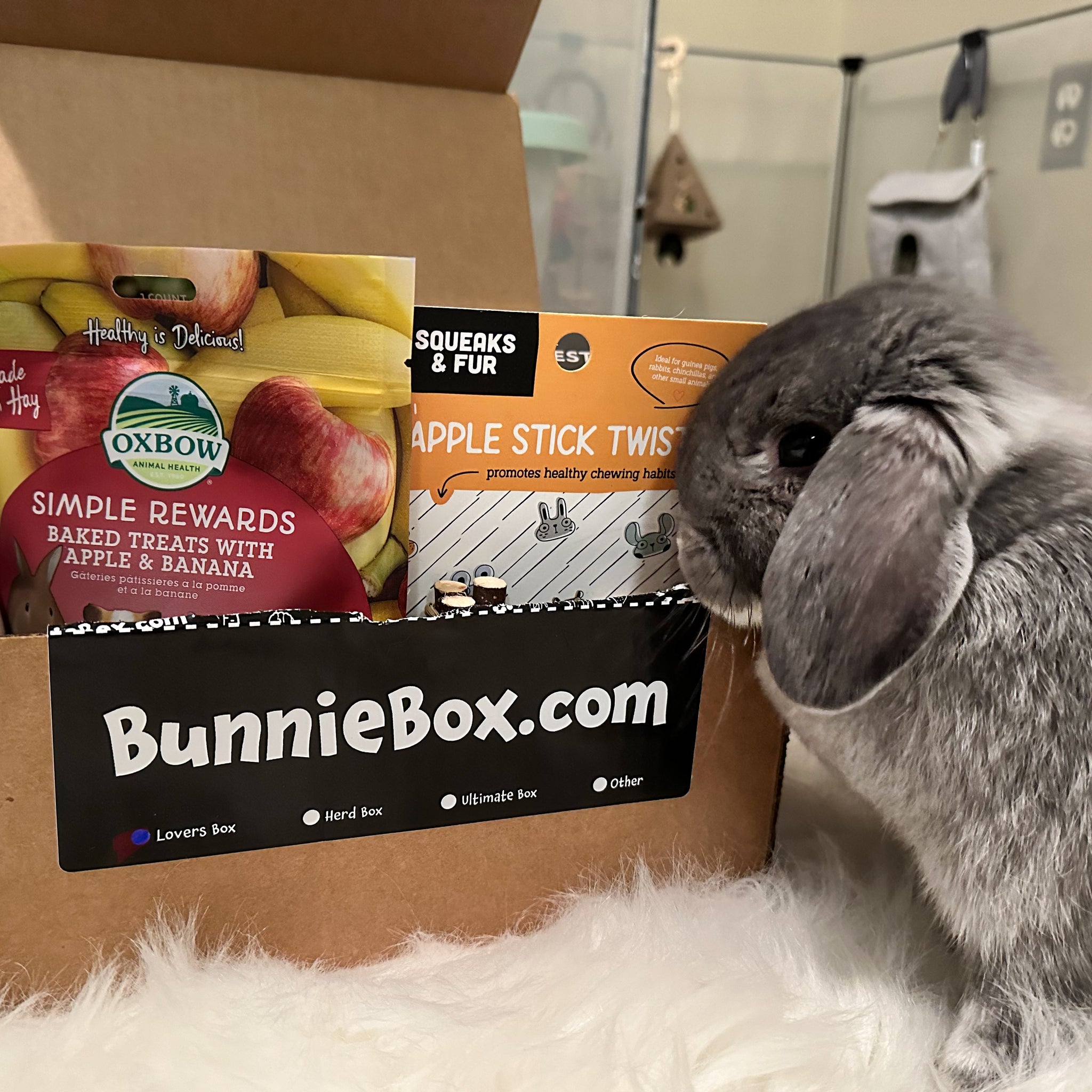 BunnieBox.com - Monthly Rabbit Subscription Box USA