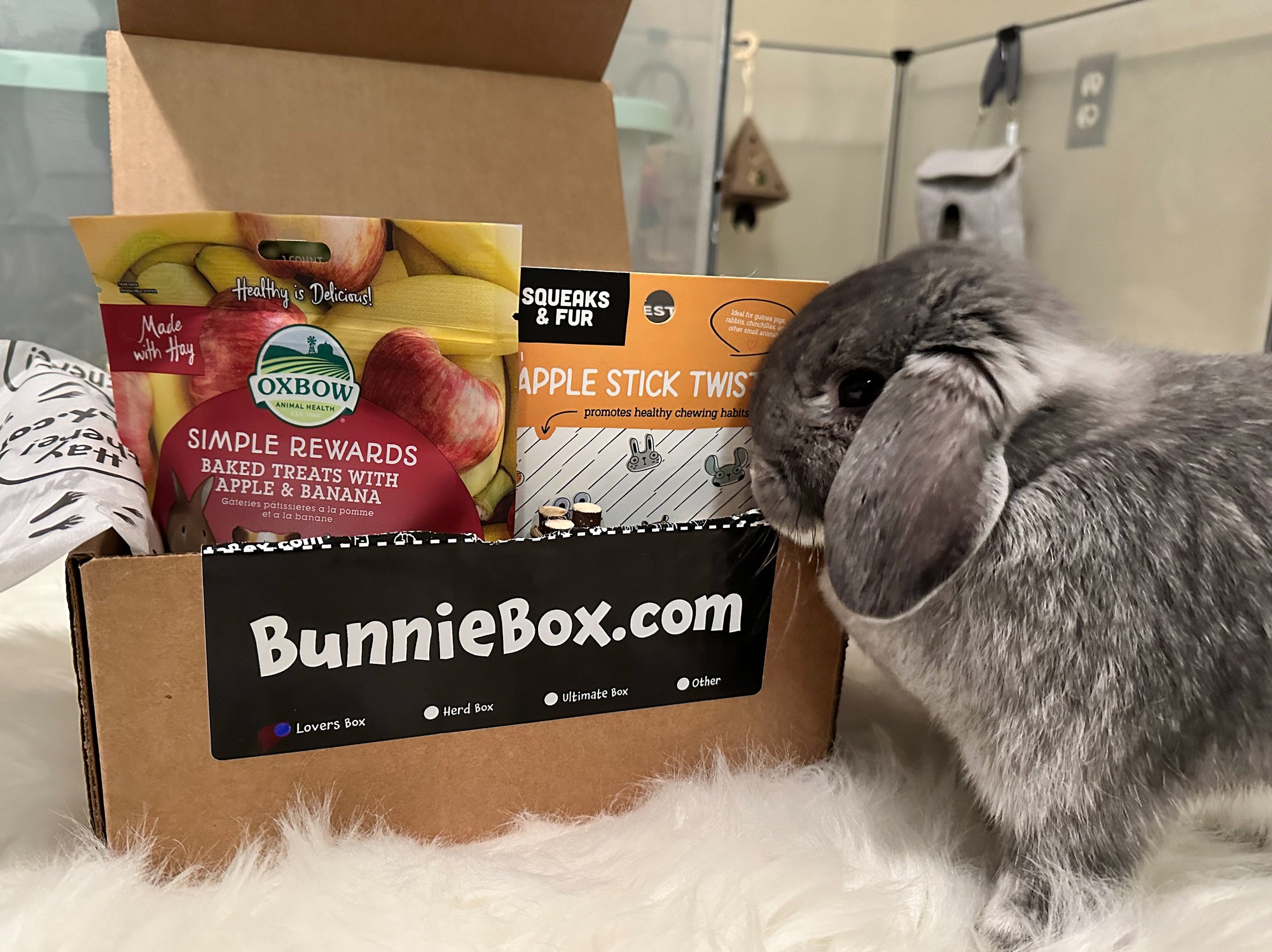 BunnieBox.com - Monthly Rabbit Subscription Box USA