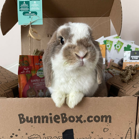 BunnieBox.com - Monthly Rabbit Subscription Box USA