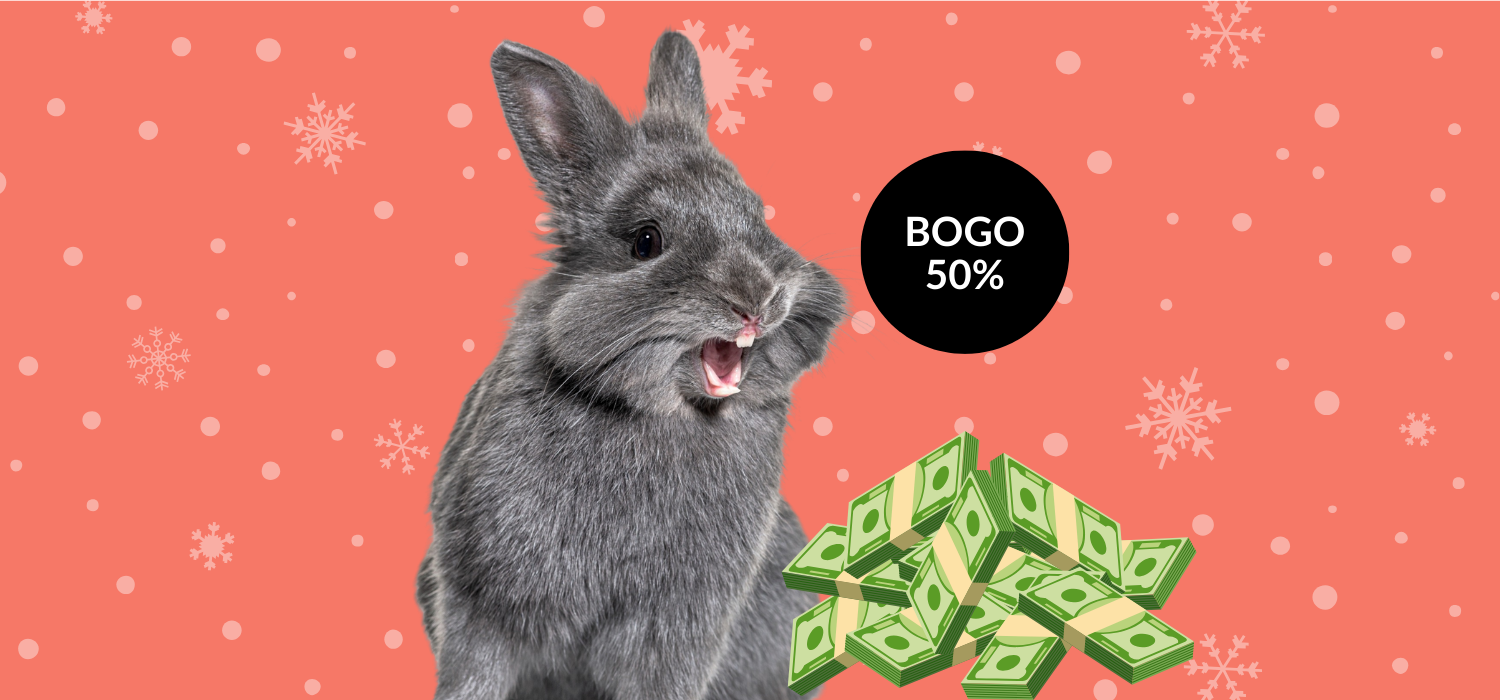 BunnieBox.com - Monthly Rabbit Subscription Box USA