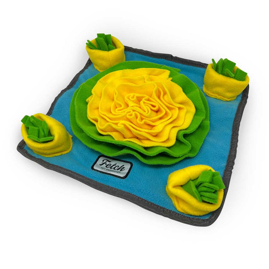 BunnieBox.com - Monthly Rabbit Subscription Box USA